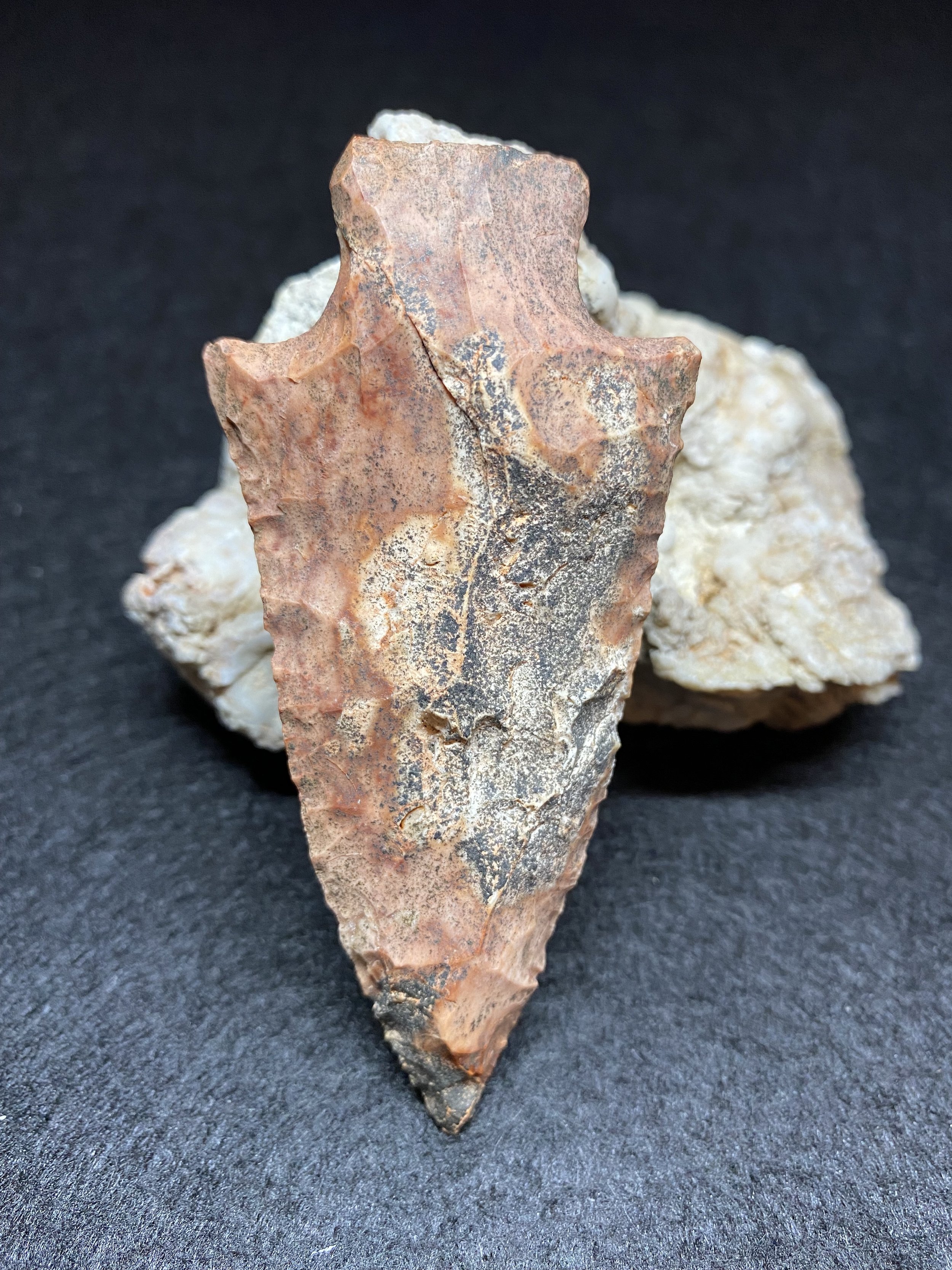 Authentic Hillsborough Contracting Stem Projectile Point (Batwing ...