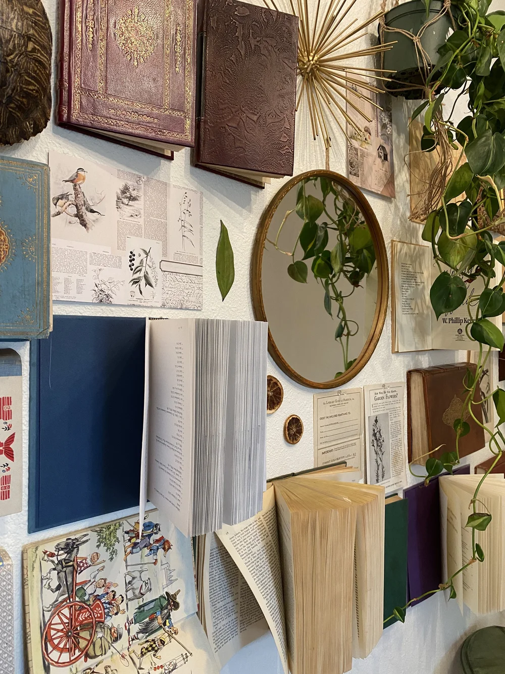 Paper Leaves Shop | Independent Book Store and Plant Shop