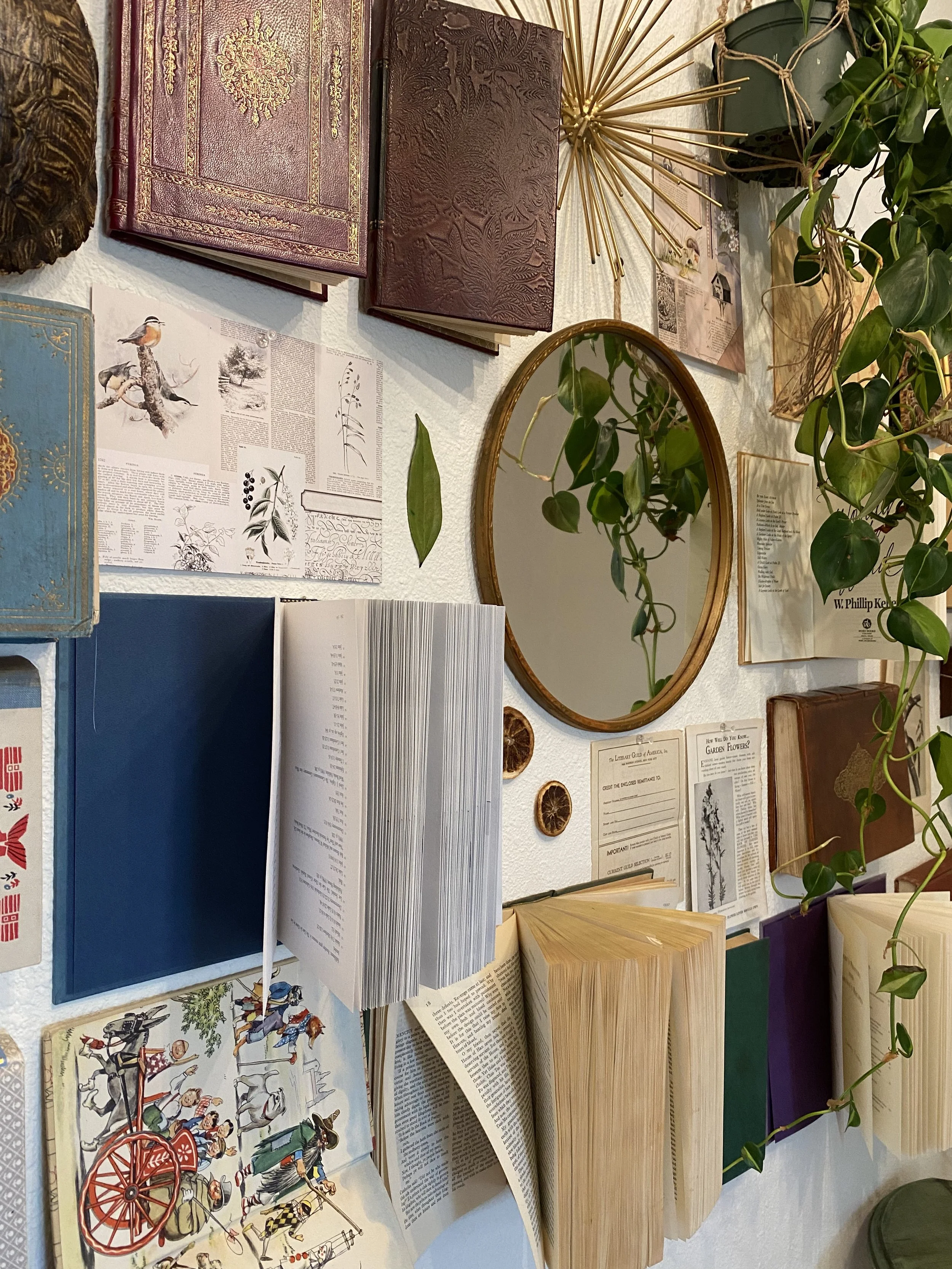 Paper Leaves Shop | Independent Book Store and Plant Shop
