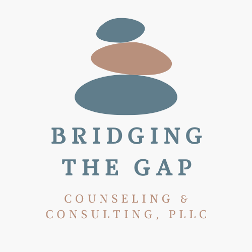 Bridging The Gap Logo