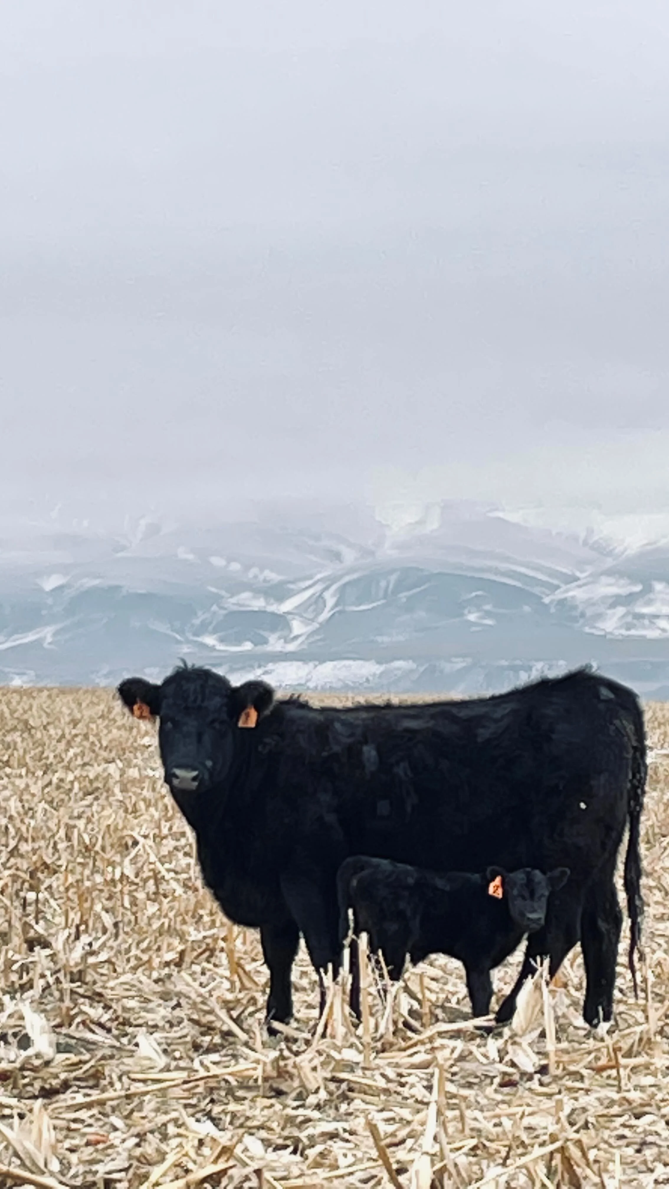 Huntzinger Farm & Ranch