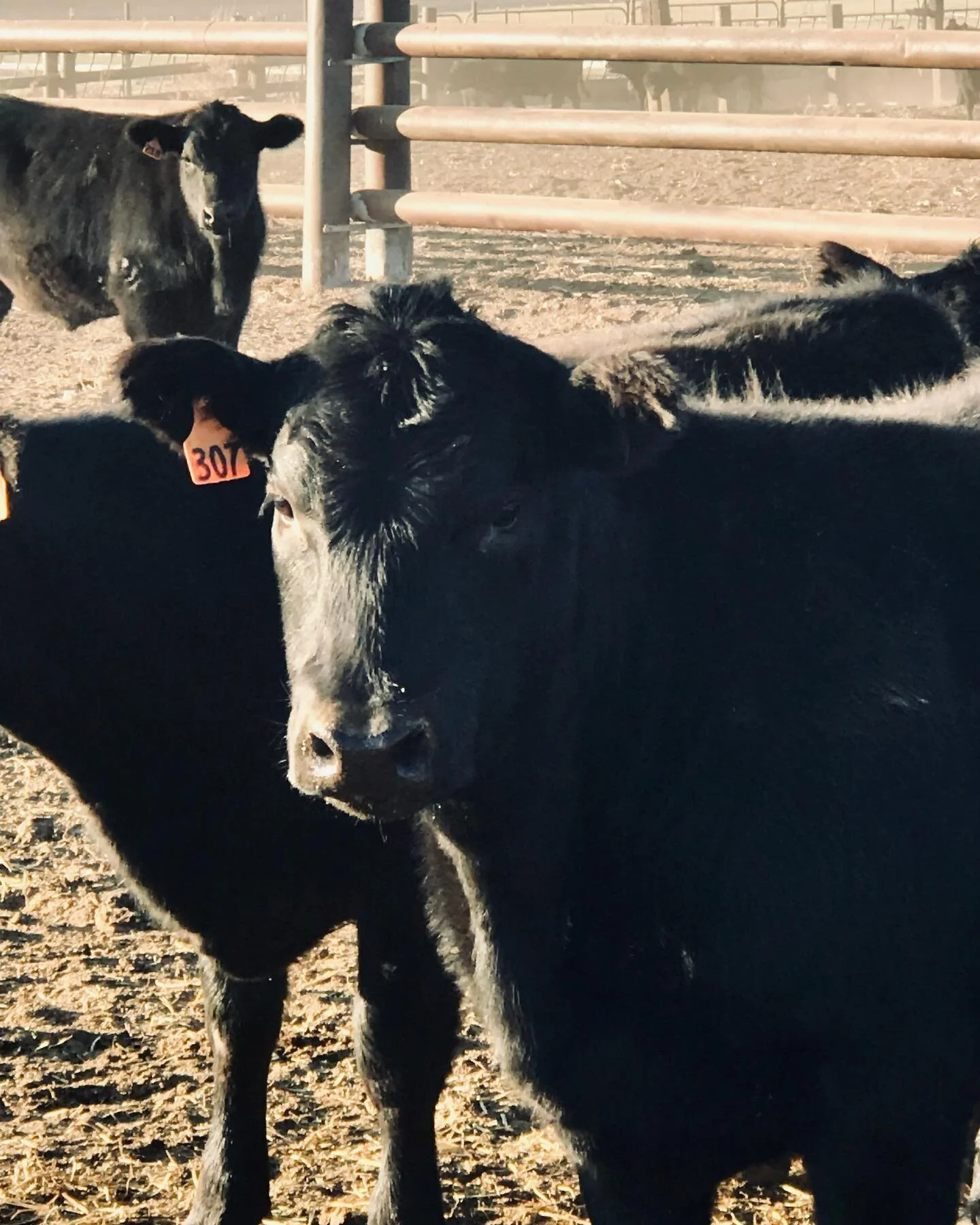 Huntzinger Farm & Ranch