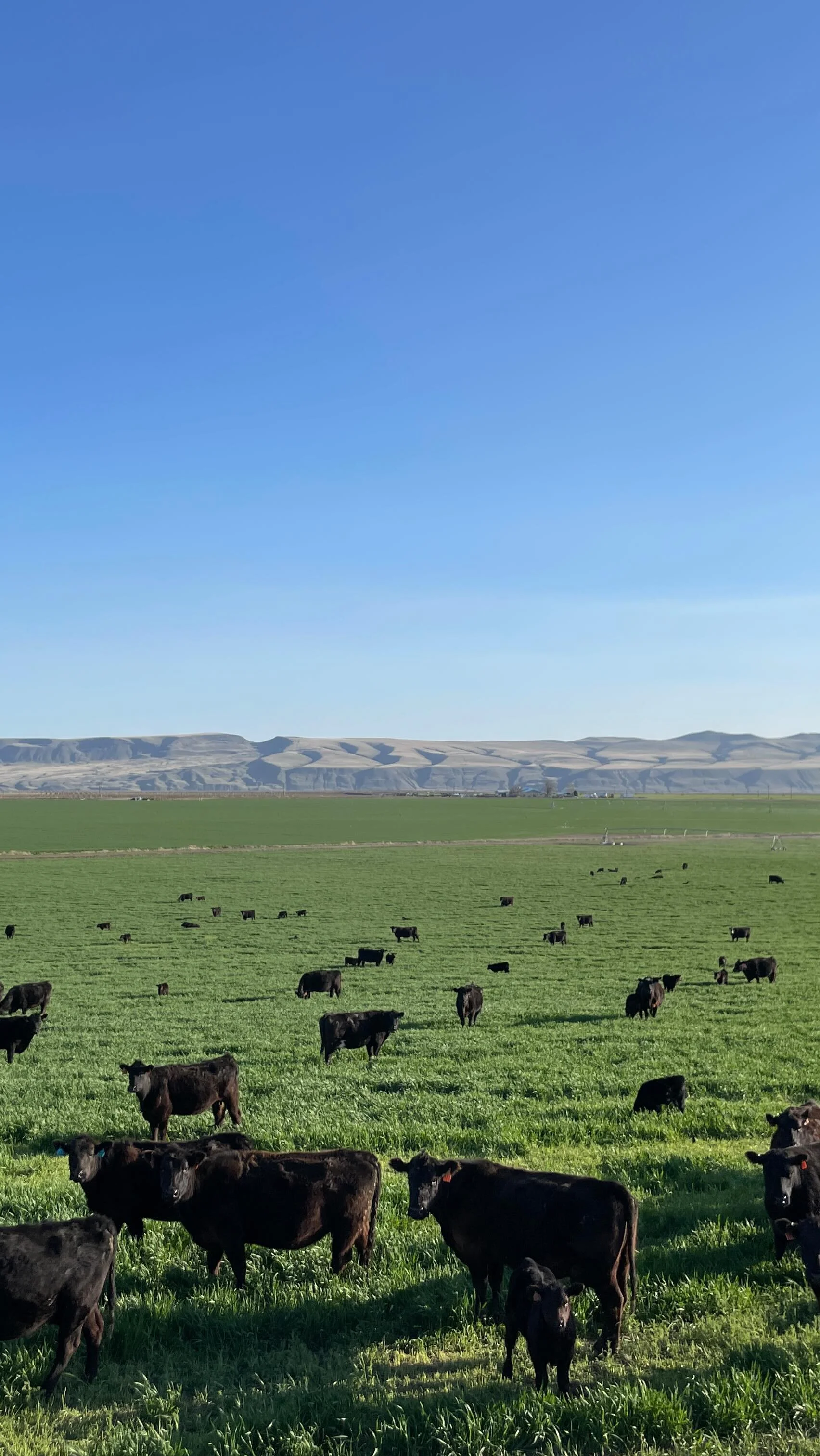 Huntzinger Farm & Ranch