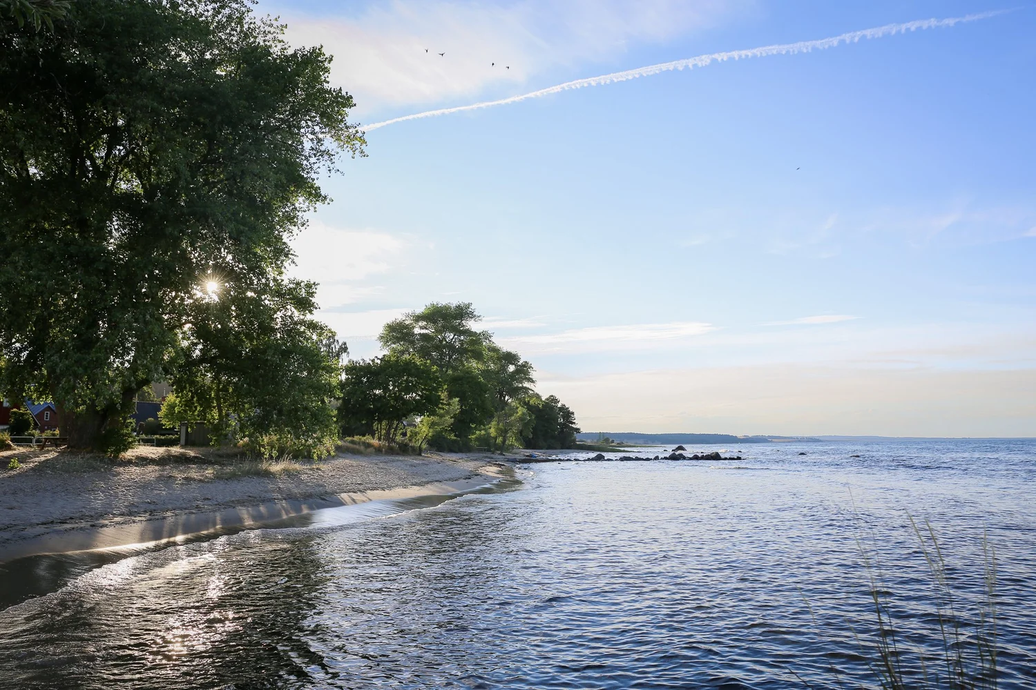 A guide to Österlen, Sweden’s summer paradise — Far & Close
