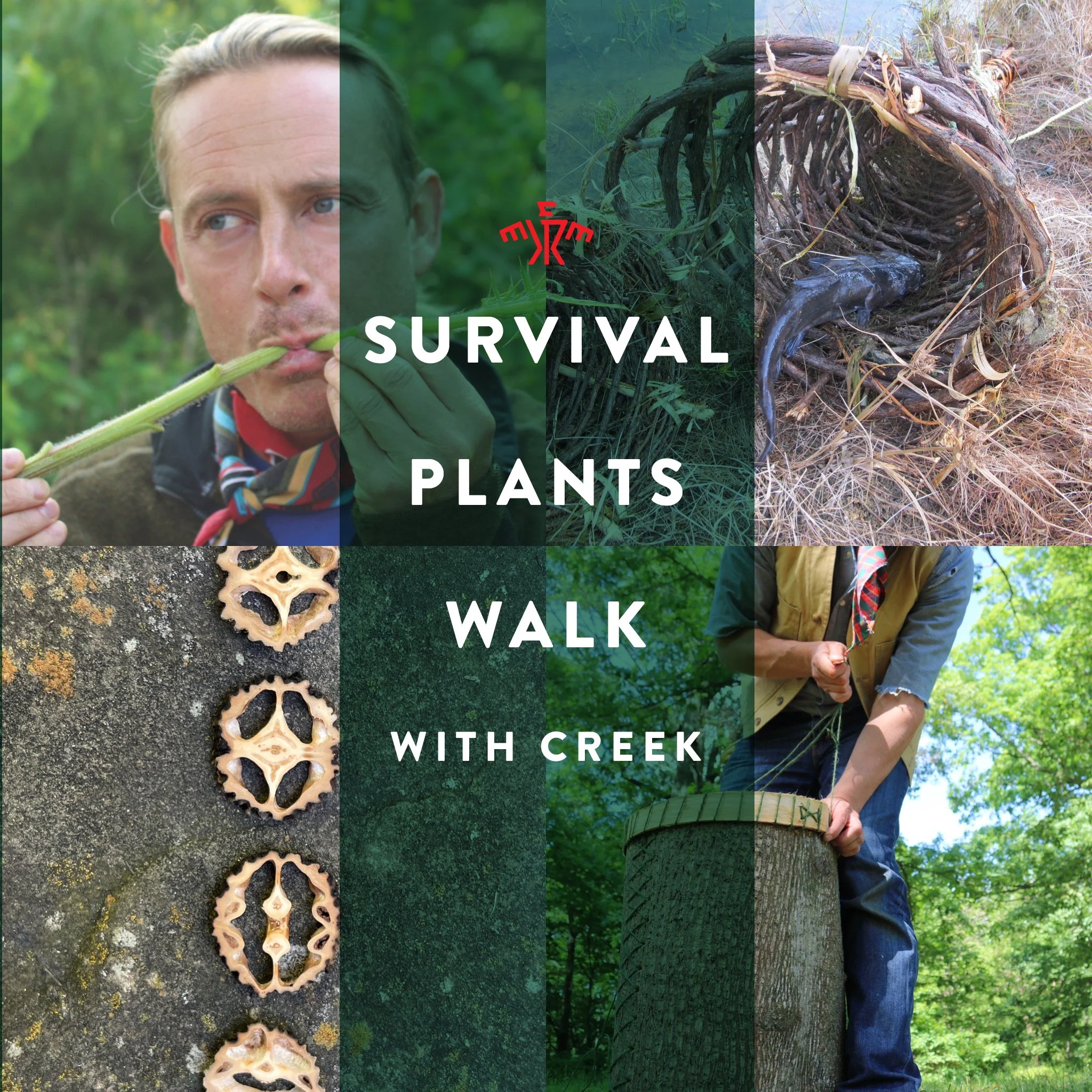 TRAINING COURSES — Creek Stewart