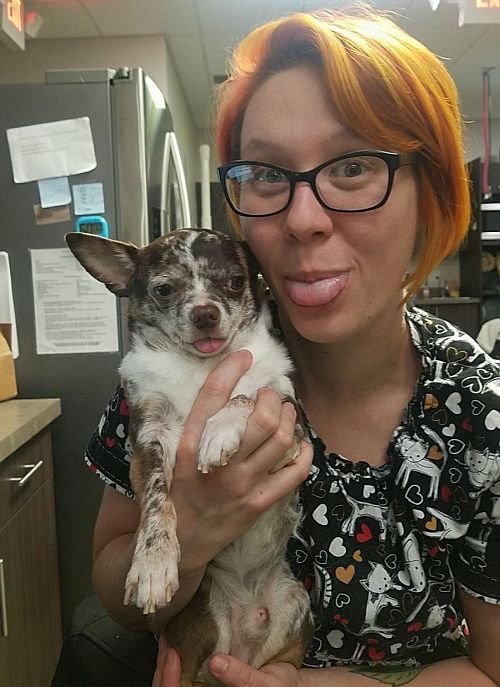 Team 1 — Riverwest Veterinary Clinic