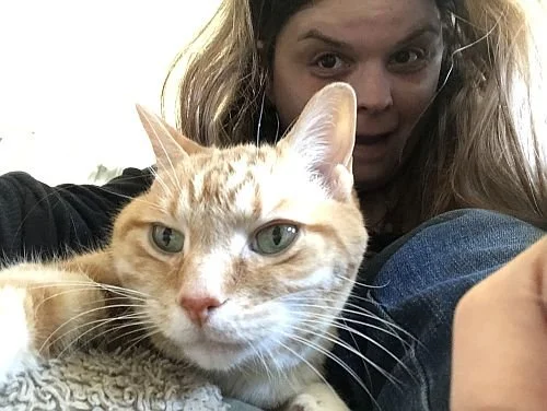 Team 1 — Riverwest Veterinary Clinic