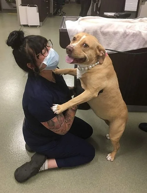 Team 1 — Riverwest Veterinary Clinic