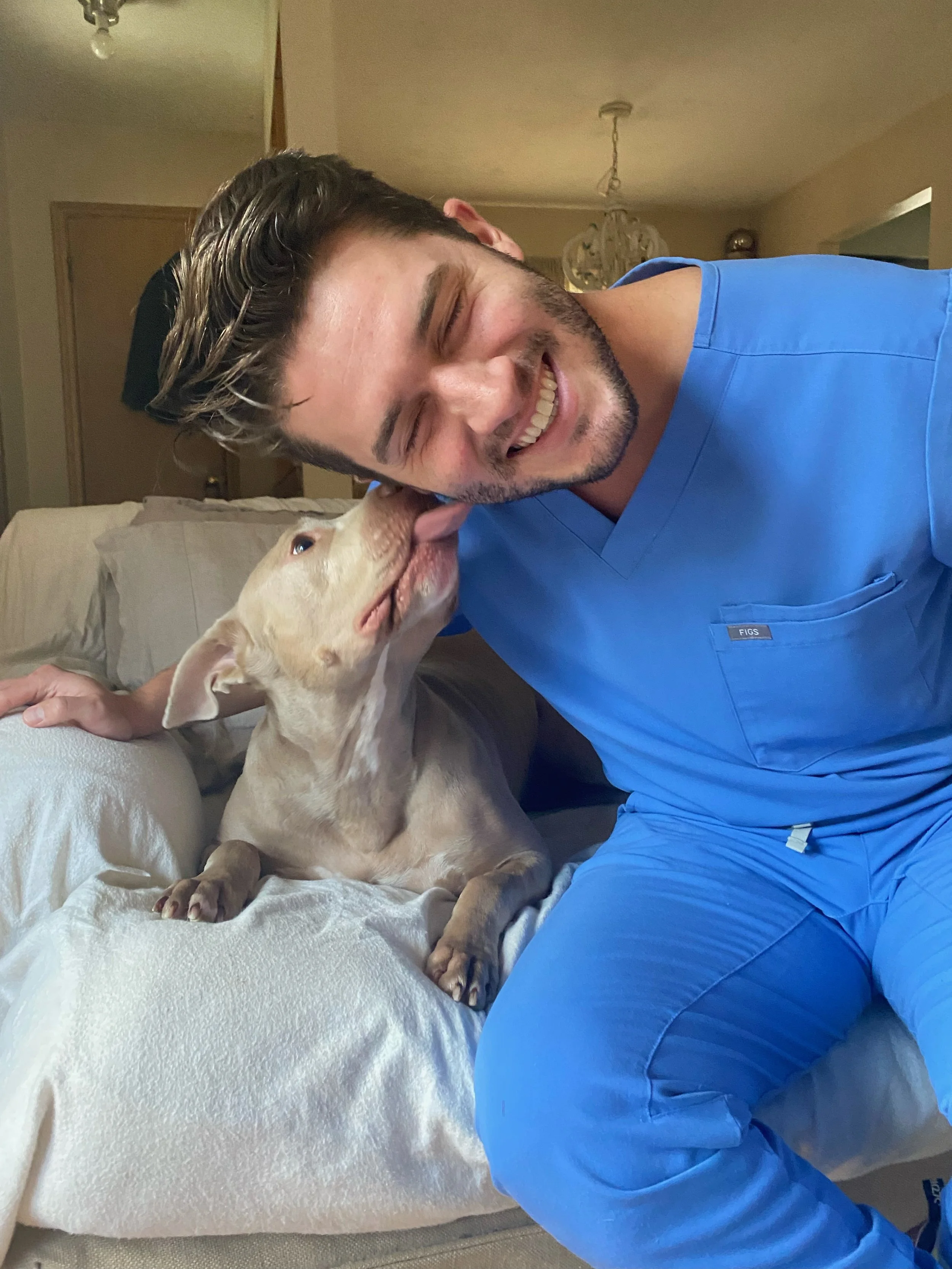 Team 1 — Riverwest Veterinary Clinic