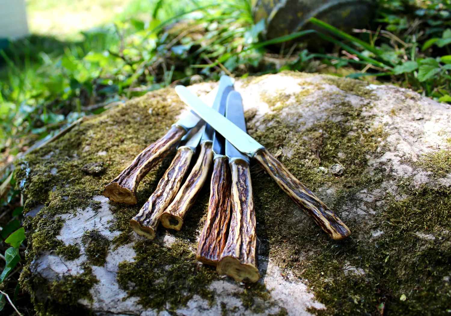 General 2 — Atlantic Irish Seaweed