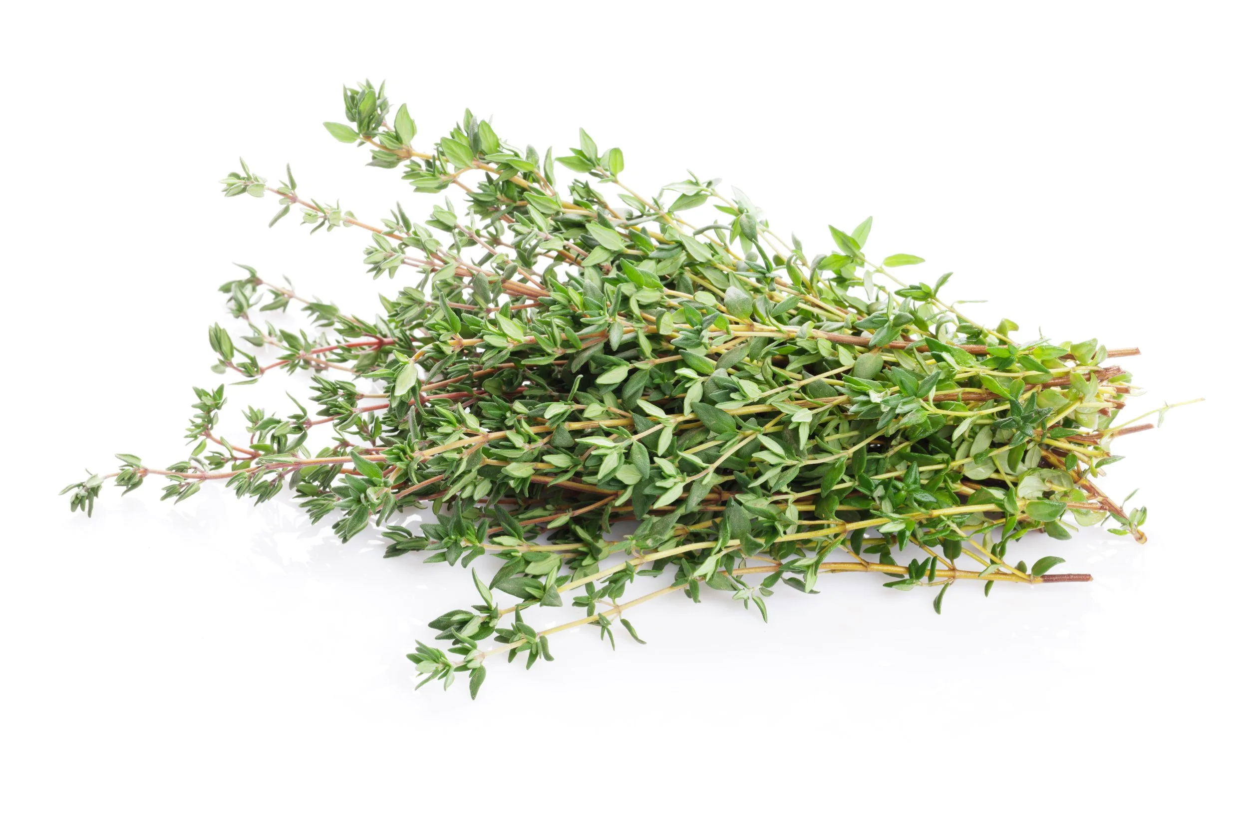 Thyme extract to help fight acne — Linaa.k