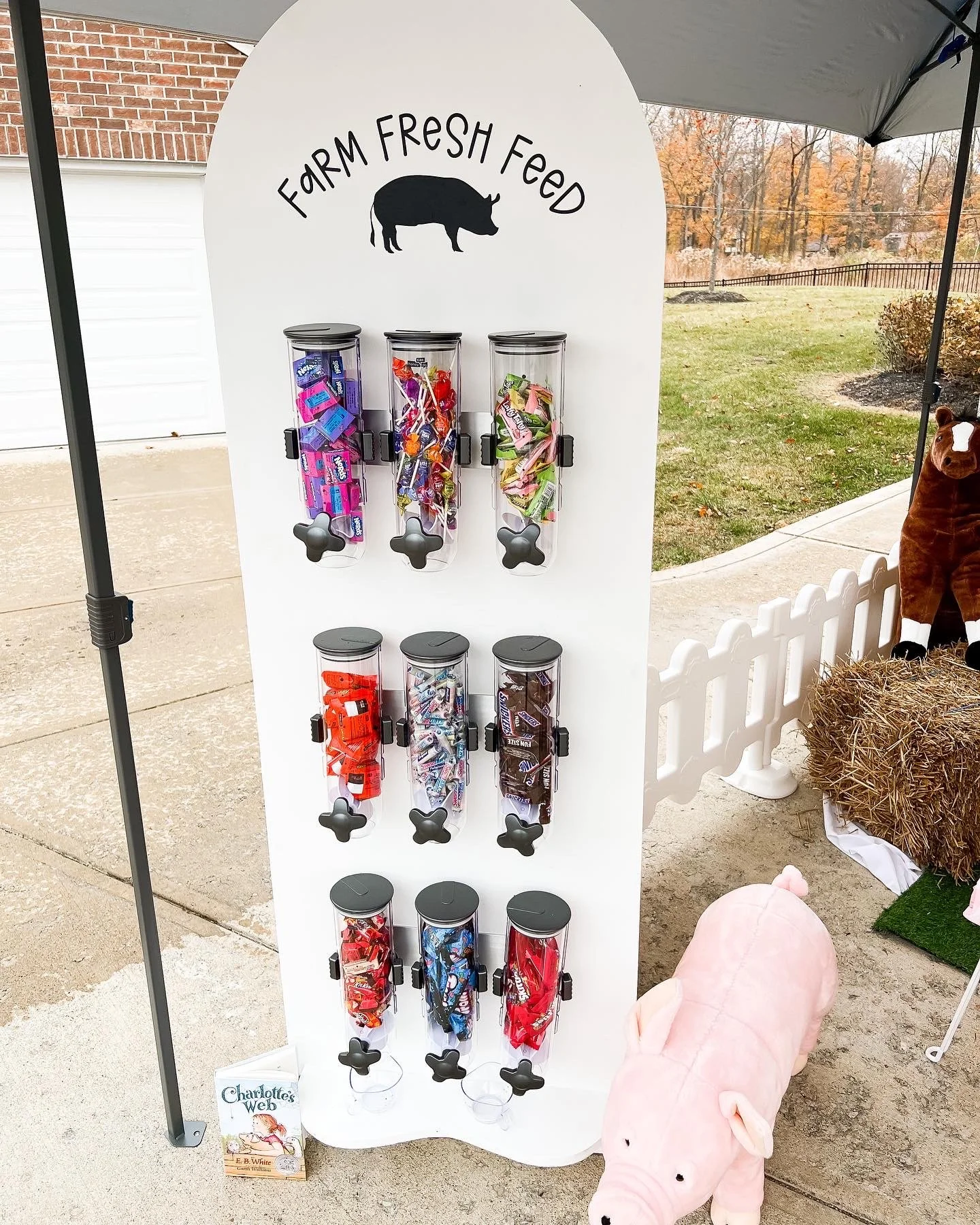 BACKDROPS — KK Party Co.