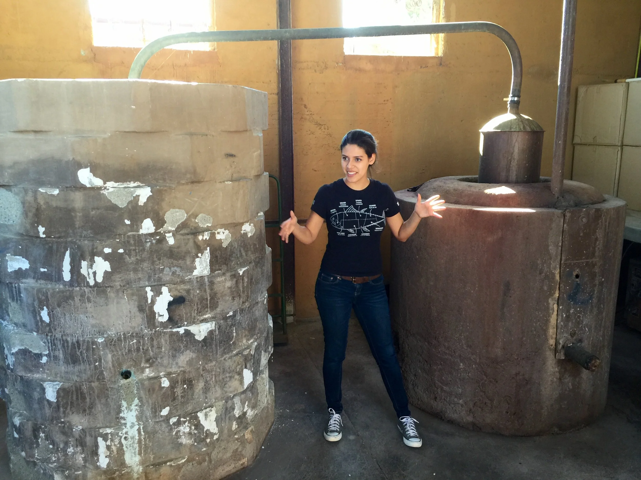 Valle 2015 — Wine Vault Tours