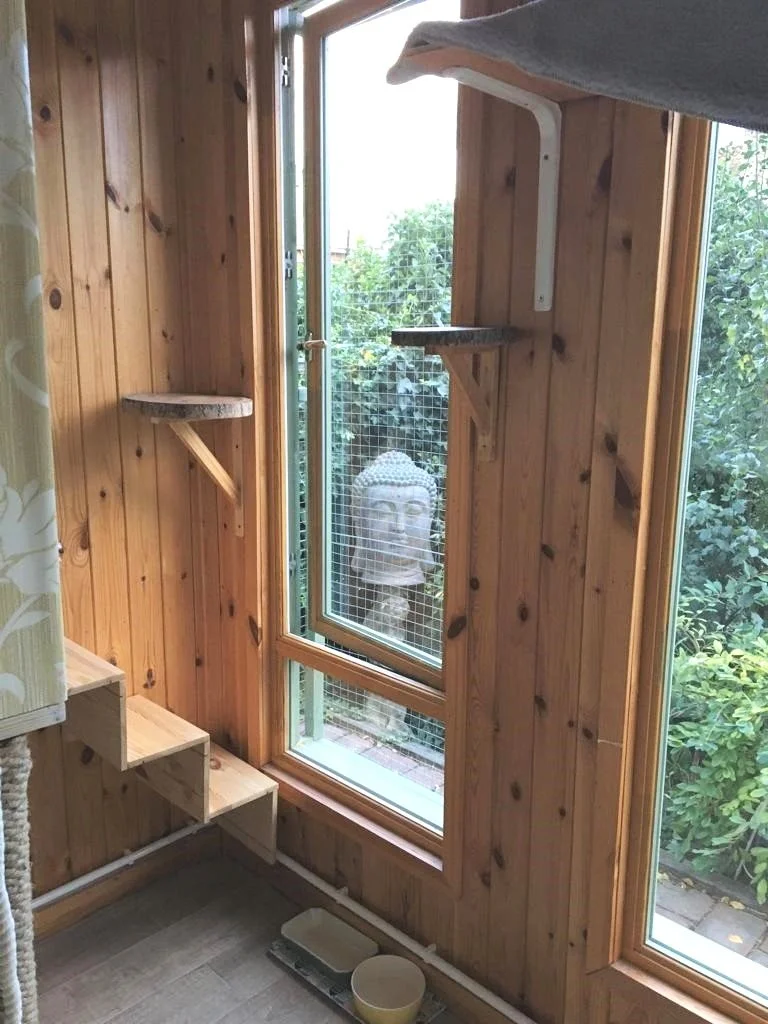 Ciarah's Cattery
