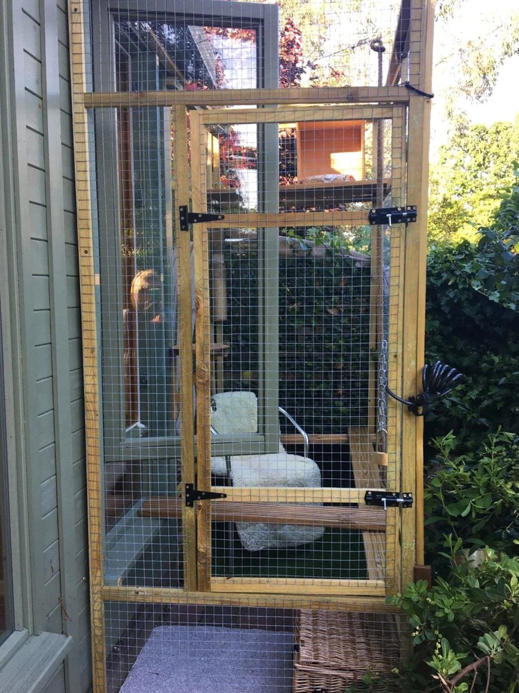 Ciarah's Cattery