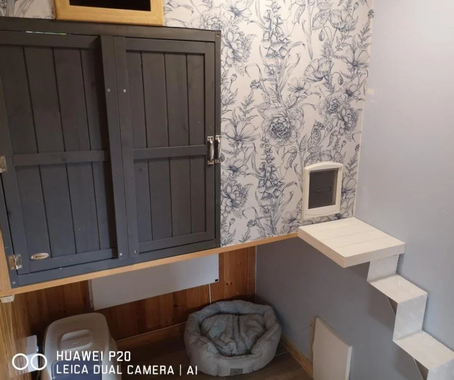 Ciarah's Cattery