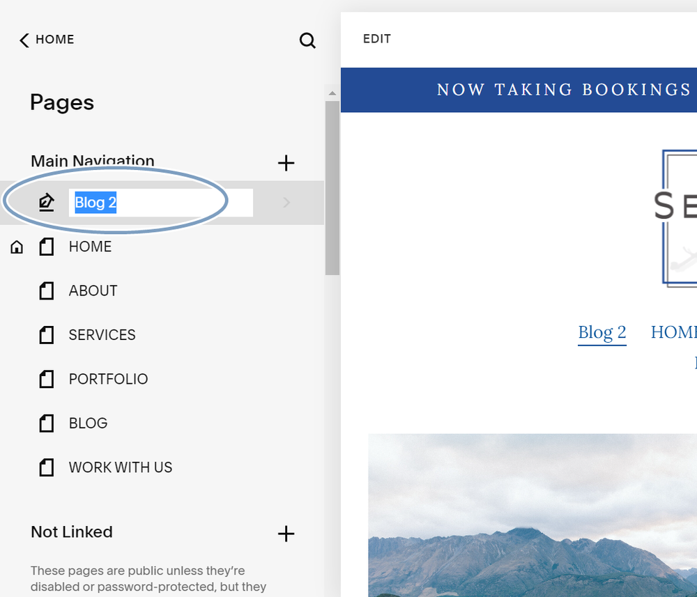 Unleash Your Inner Blogger: Adding a Blog to Your Squarespace Site Made Easy! — Selwyn's by Design