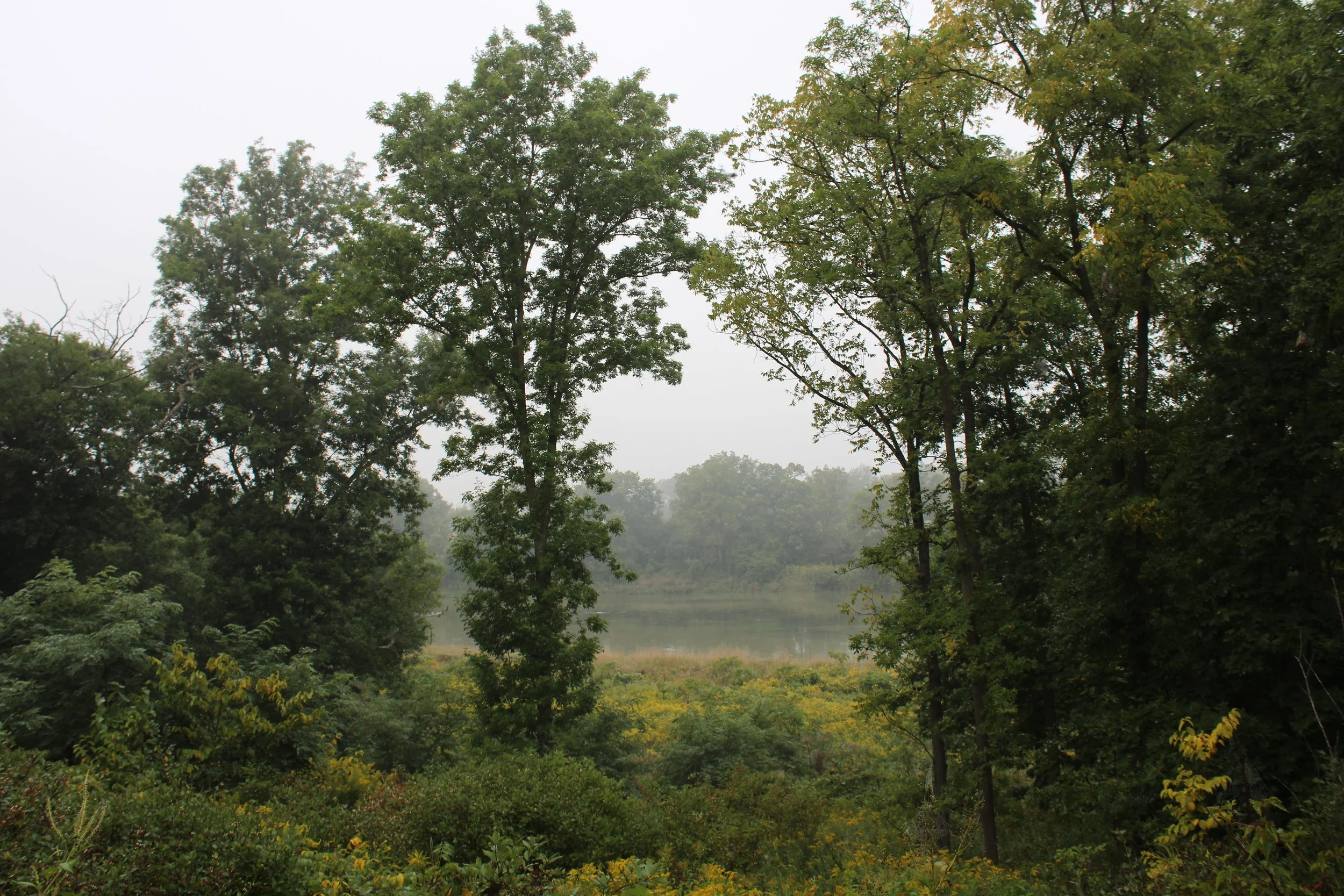 About — Ruthven Park National Historic Site