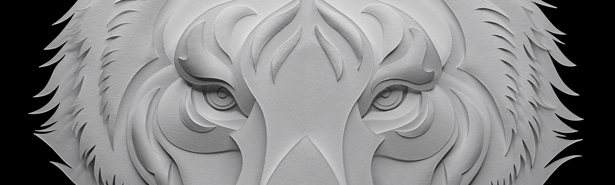 Artist & Project Gallery — ArtPop