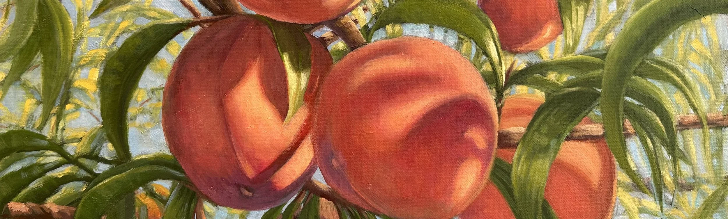 BARBARA CURRY — ArtPop Street Gallery