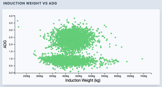 Feedlots — Black Box Co