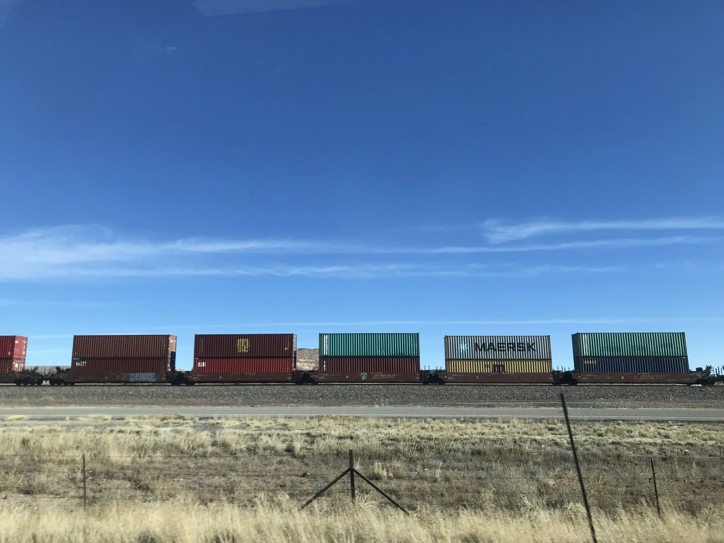 Bio — Maddie Witler