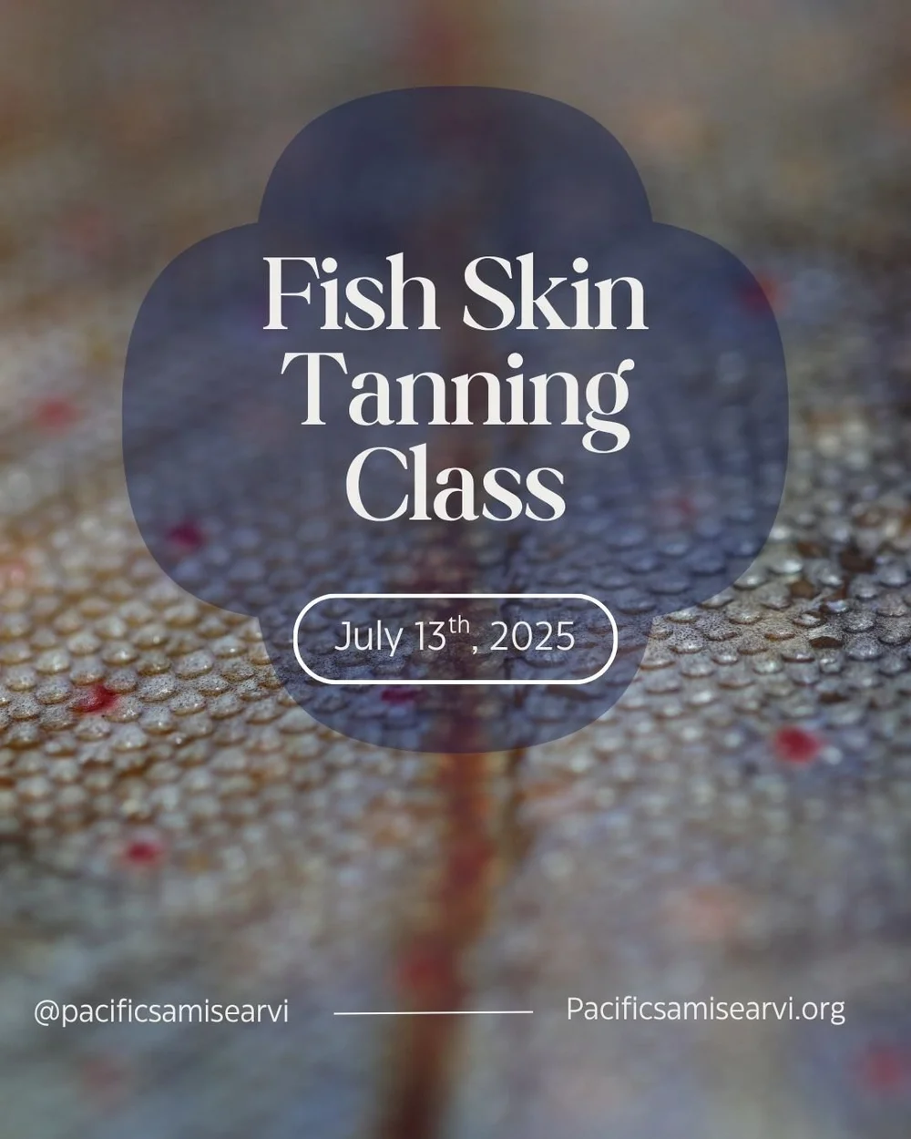 Fish Skin Tanning Class — PACIFIC SÁMI SEARVI