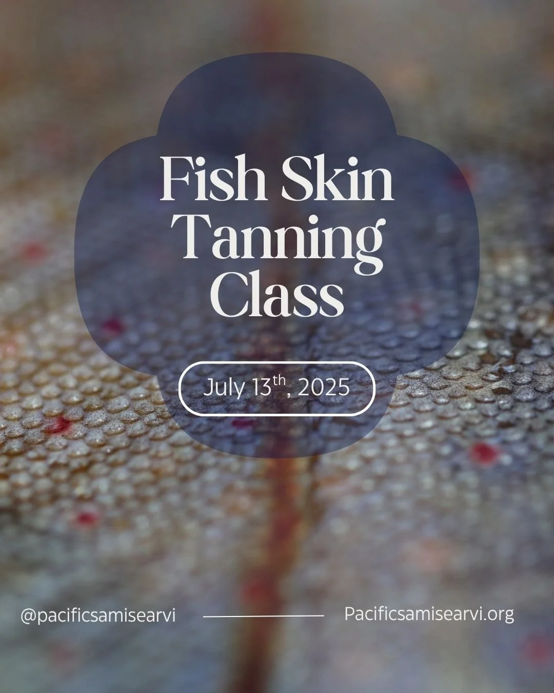Fish Skin Tanning Class — PACIFIC SÁMI SEARVI