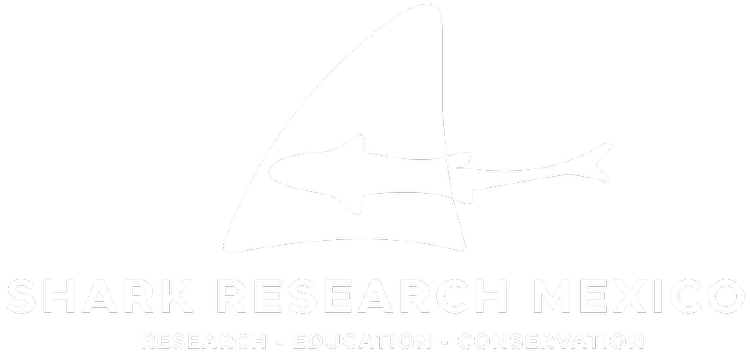 Shark Research Mexico - Non Profit Shark Research