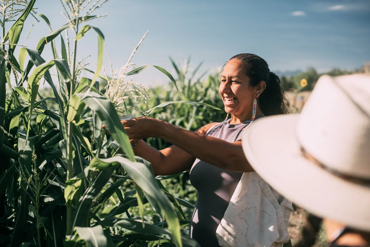 Harvest Of All First Nations
