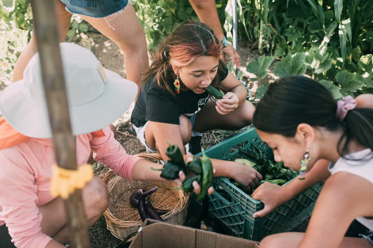 Food Justice & Sovereignty Program (FJS) — Harvest Of All First Nations