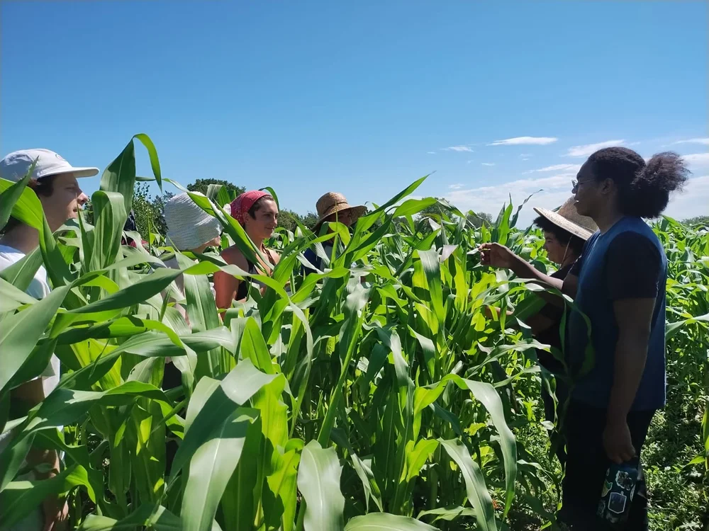 Food Justice & Sovereignty Program (FJS) — Harvest Of All First Nations