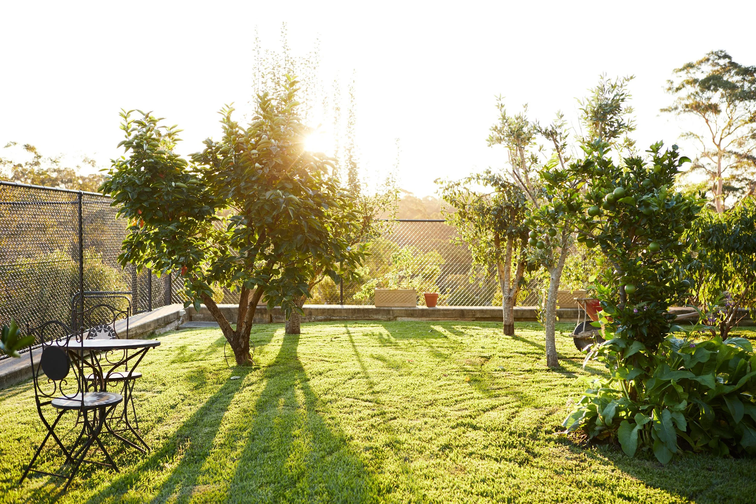 Process — Fluid Landscape Design