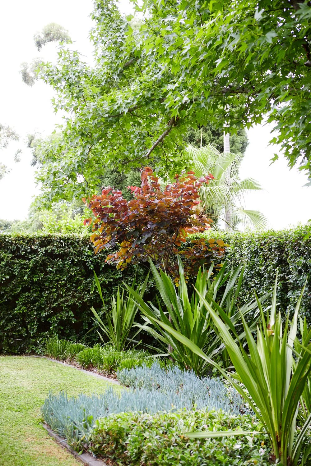 Oatlands #2: NSW - Residential — Fluid Landscape Design