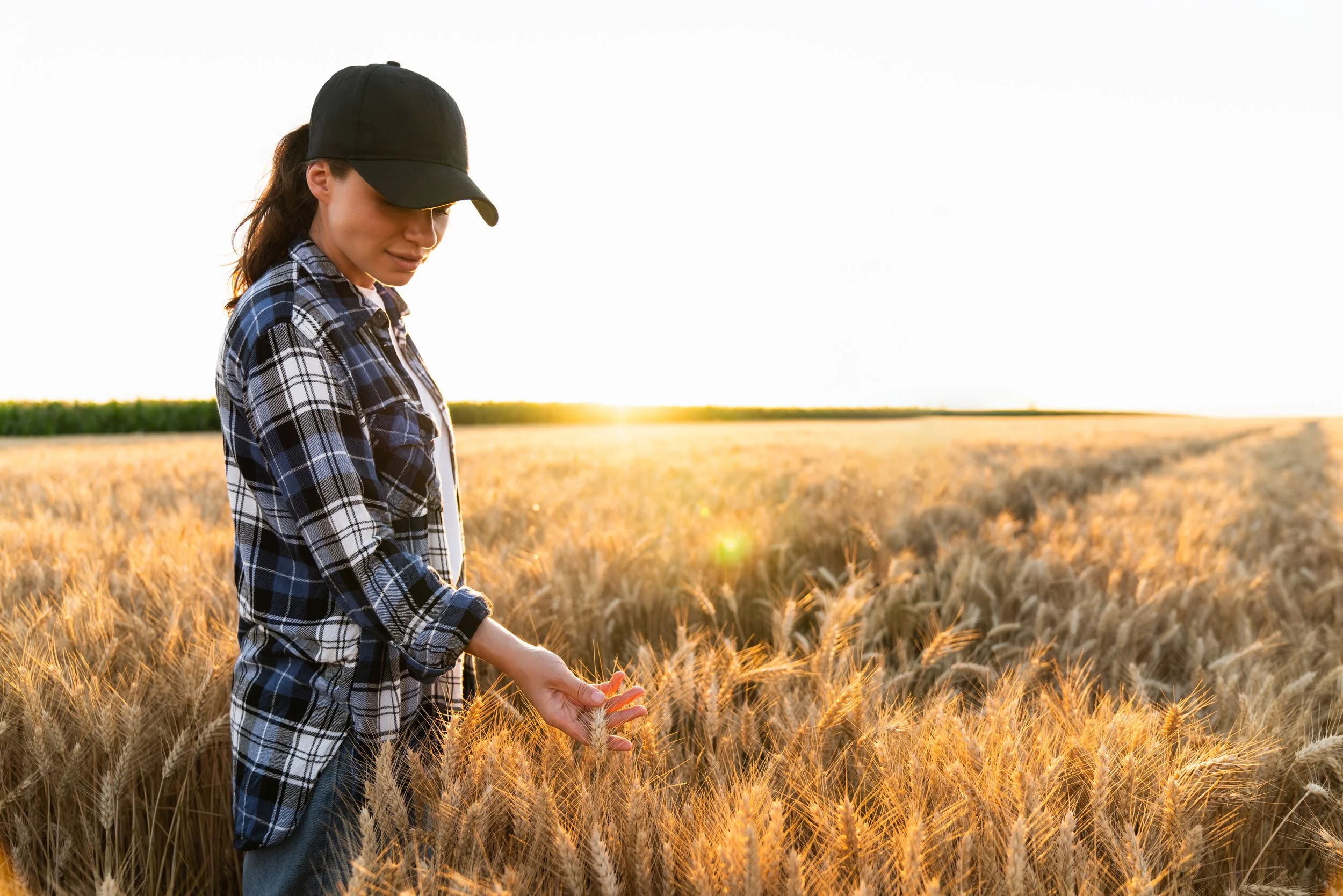Our Story | Empower Women in Agriculture — Australian Women in Agriculture