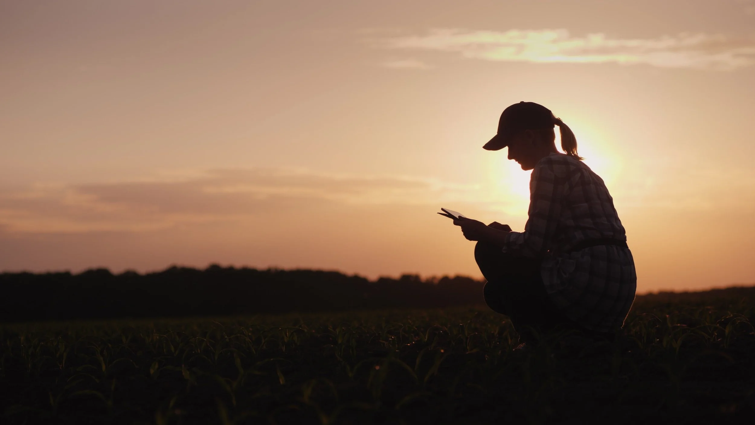 Australian Women in Agriculture