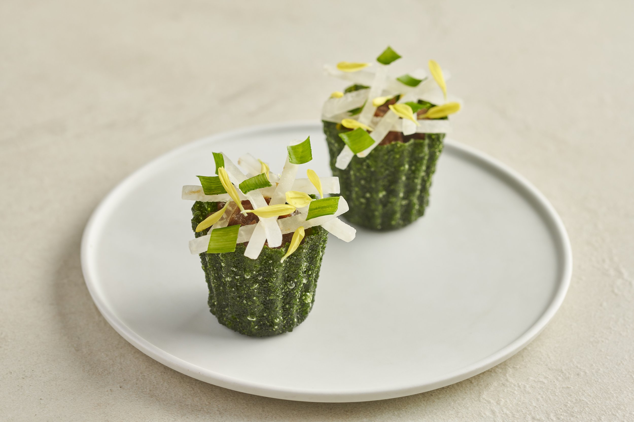 The Seroja Experience — Seroja