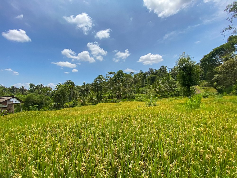 Ultimate Guide to Tetebatu, Lombok in Indonesia — Slower Travels