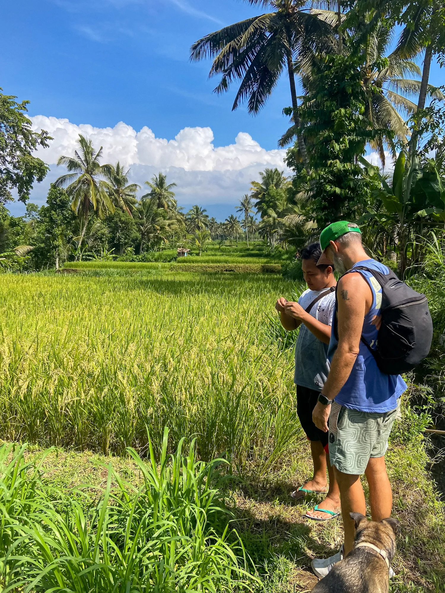 Ultimate Guide to Tetebatu, Lombok in Indonesia — Slower Travels