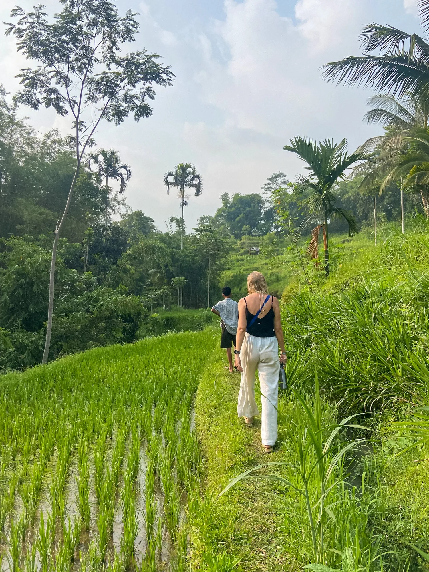 Ultimate Guide to Tetebatu, Lombok in Indonesia — Slower Travels
