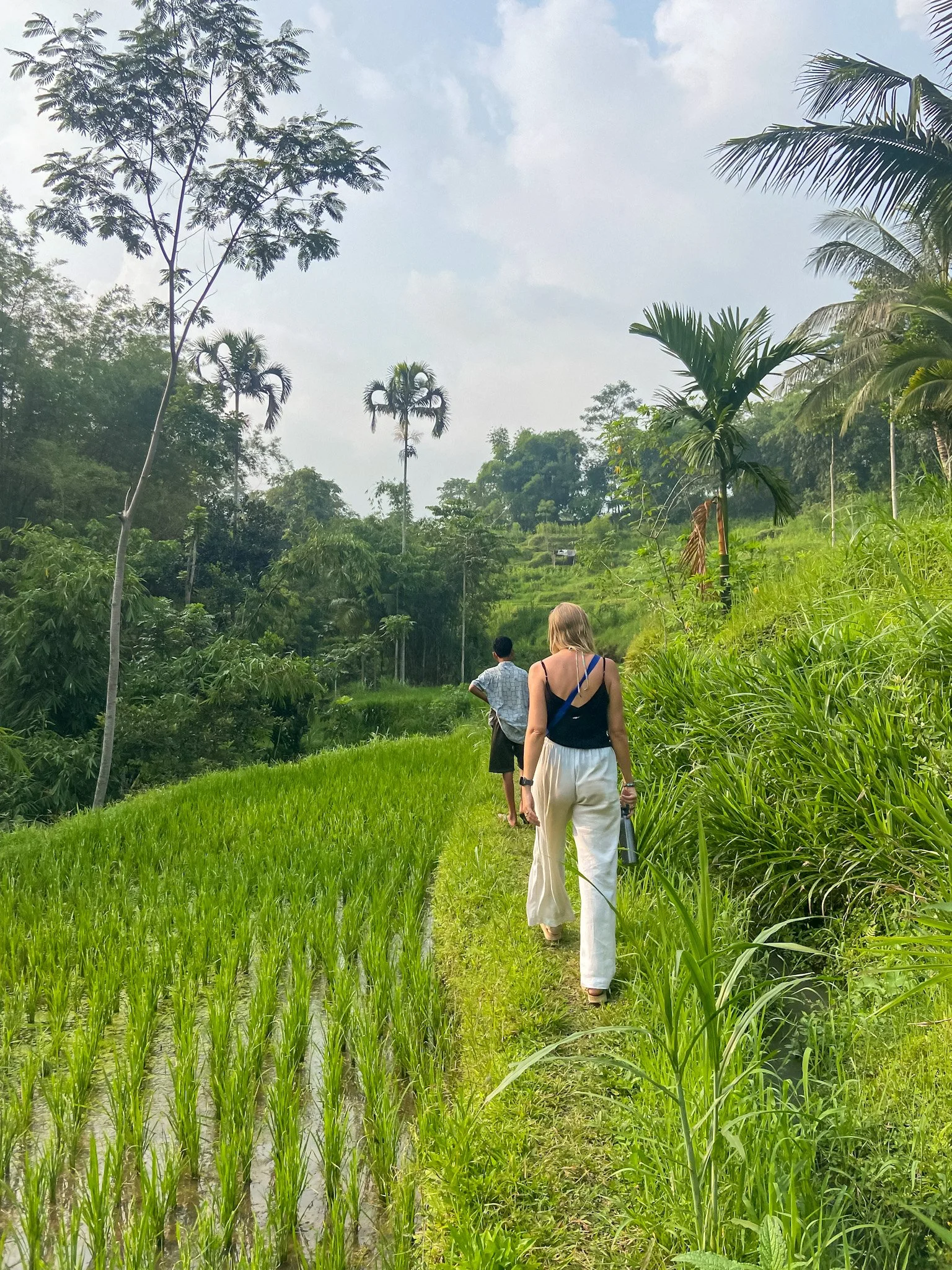 Ultimate Guide to Tetebatu, Lombok in Indonesia — Slower Travels