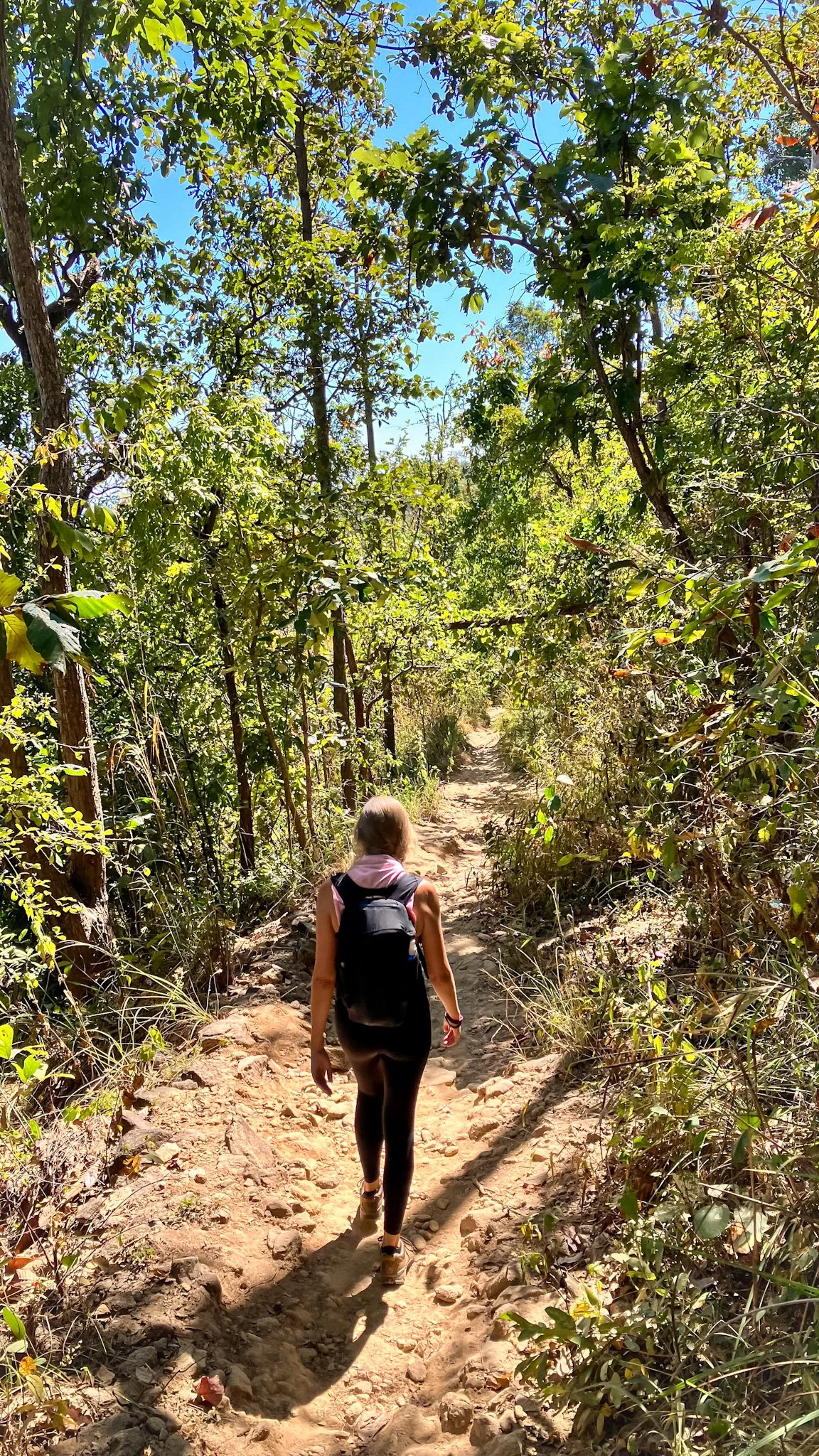 Wat Pha Lat Hike, Chiang Mai, Thailand — Slower Travels