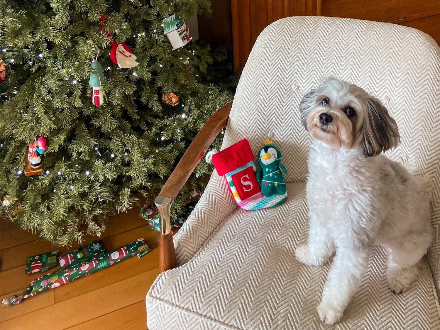 What is House-Sitting and How to get Started — Slower Travels