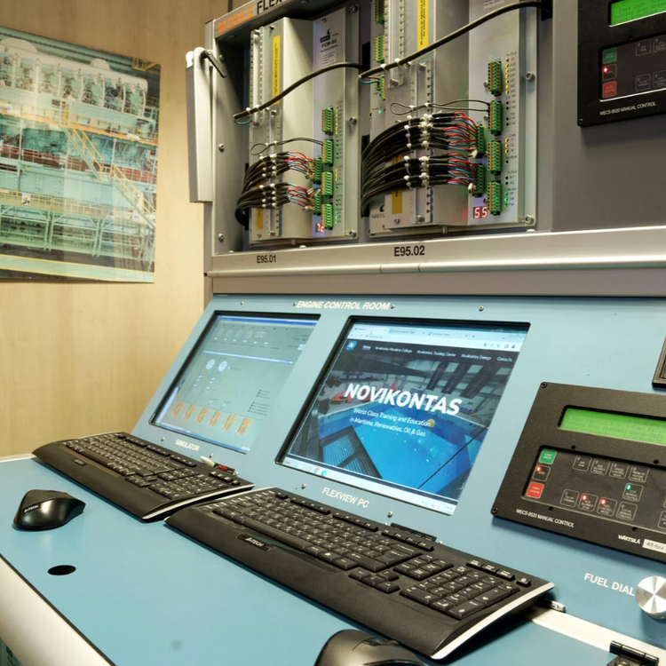 WARTSILA RT-FLEX Basic Training — TURTLE is the future of maritime HR.