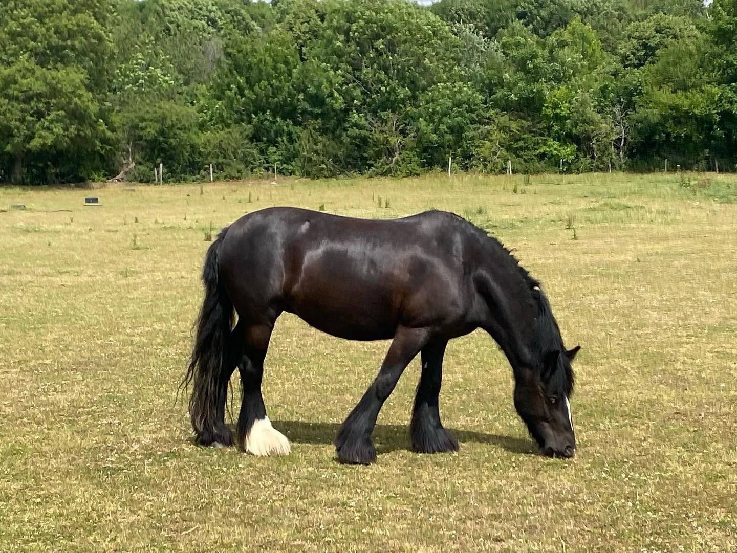 Mottingham Farm Equestrian Centre