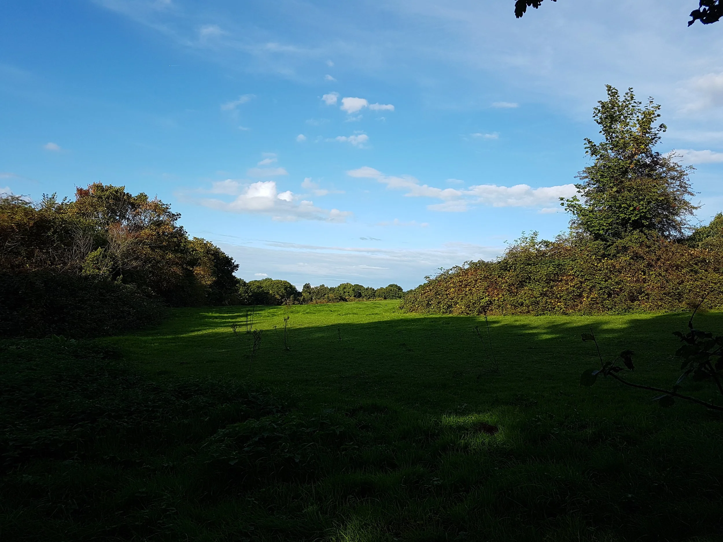 Mottingham Farm Riding Centre