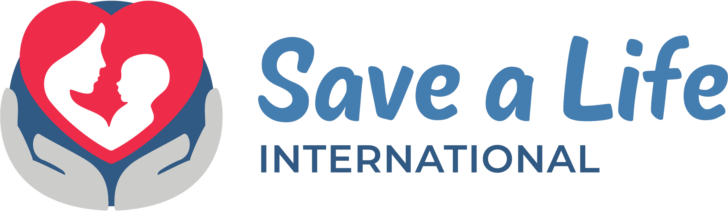 Overview — Save a Life International