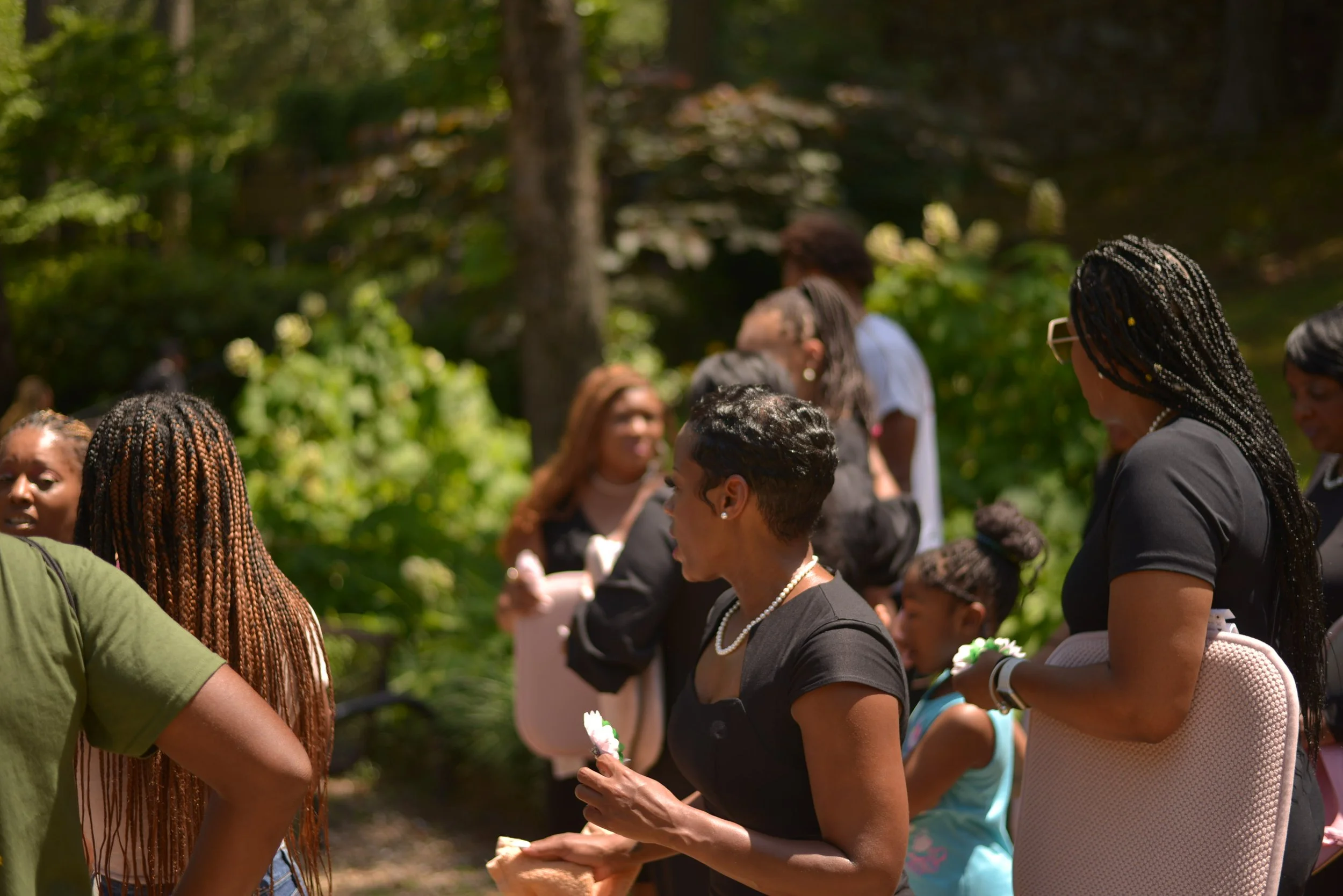 An Official Interest Group of Alpha Kappa Alpha Sorority, Inc.