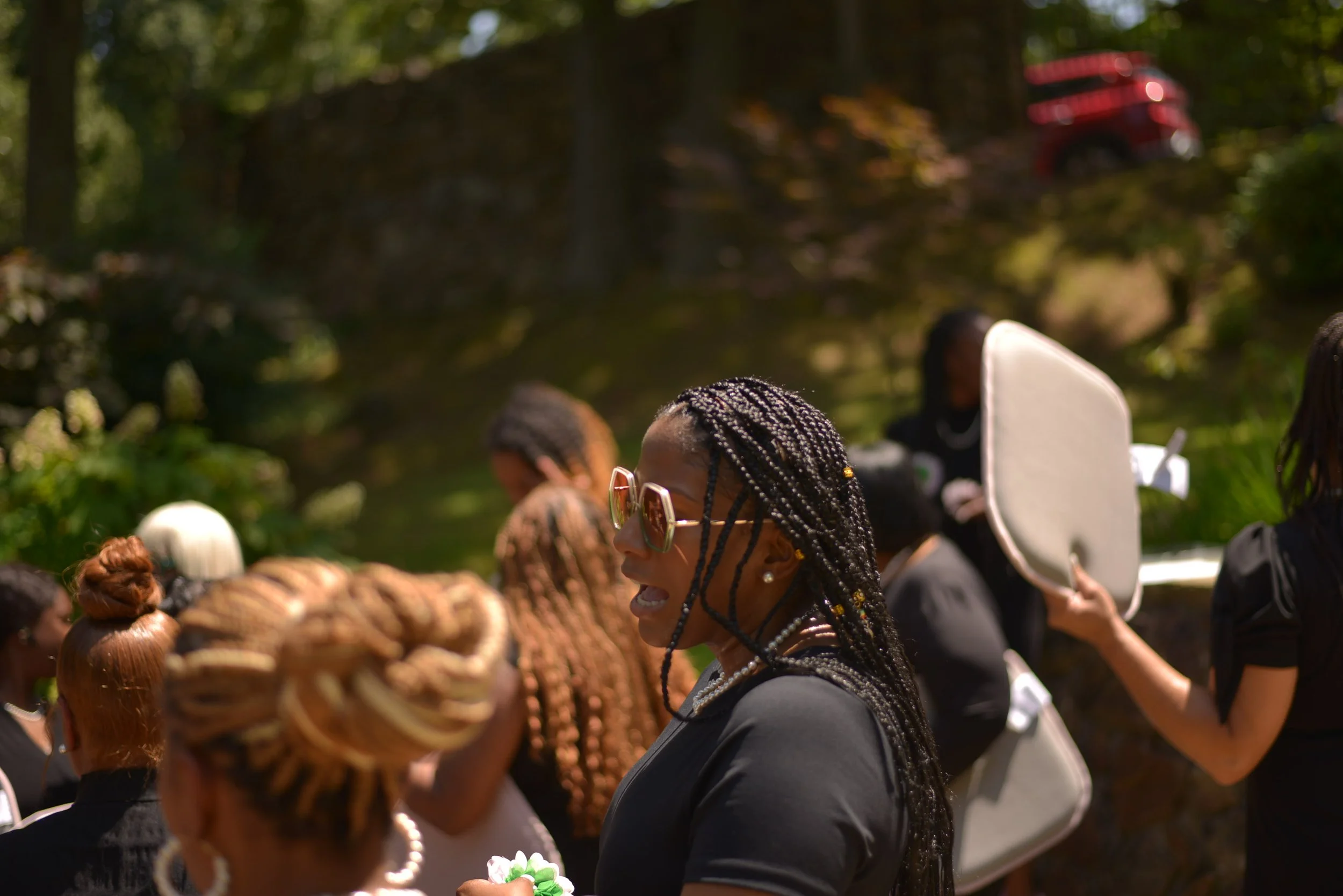 An Official Interest Group of Alpha Kappa Alpha Sorority, Inc.