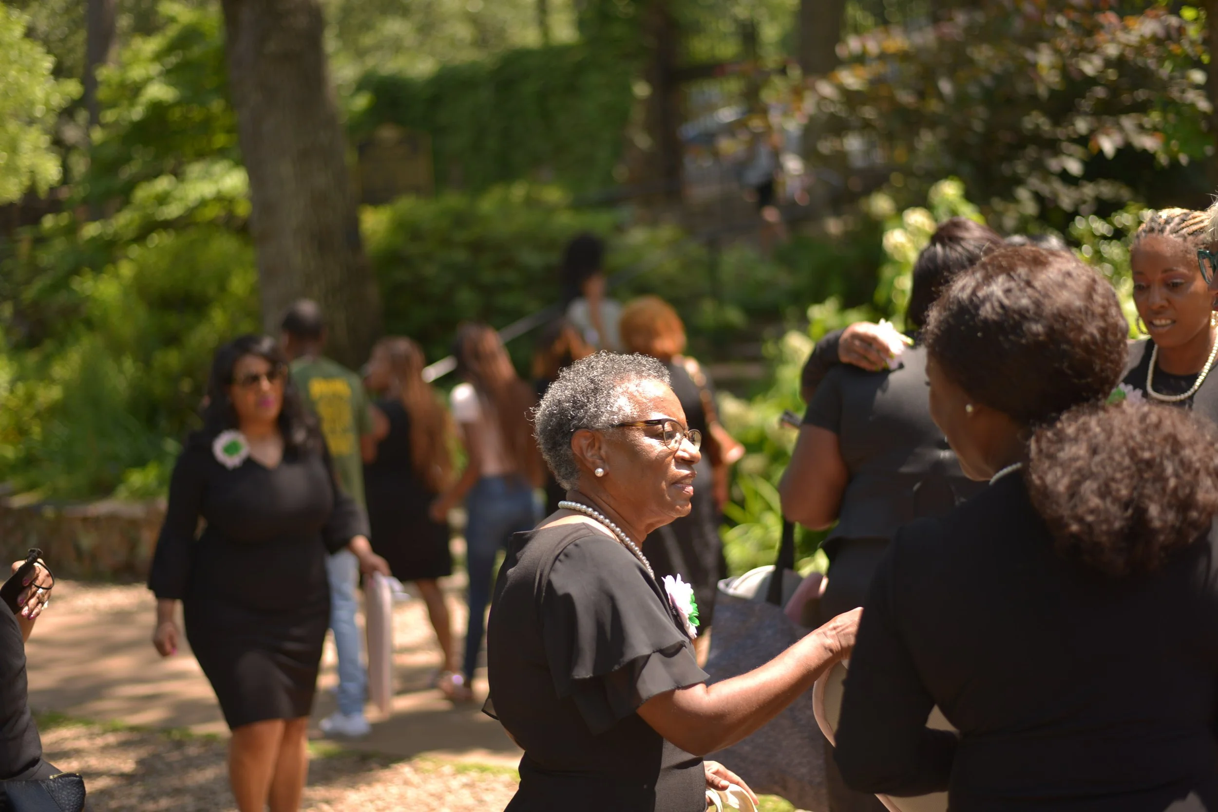 An Official Interest Group of Alpha Kappa Alpha Sorority, Inc.